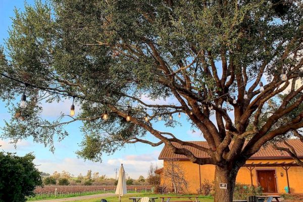 Top Things to Do in Solvang, California - Kronborg Inn